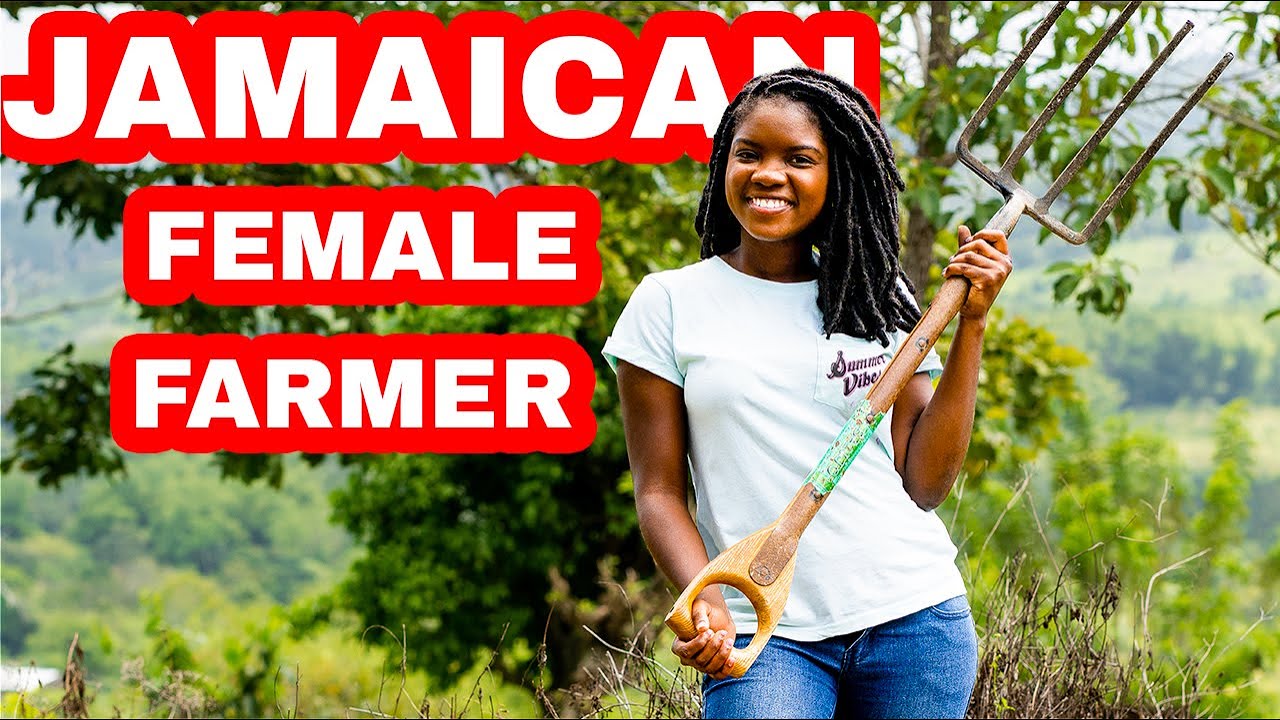 FARMING IN RURAL ST.CATHERINE JAMAICA - YouTube