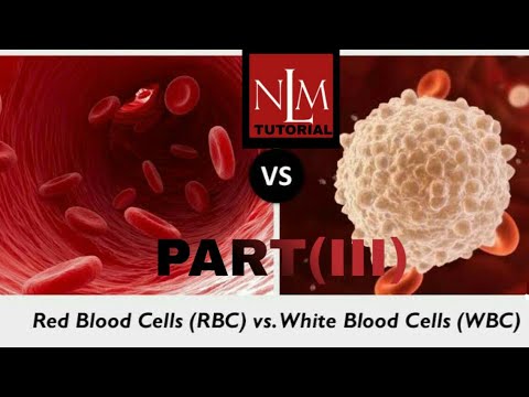 RBC VS WBC (PART III) .NLM TUTORIAL - YouTube