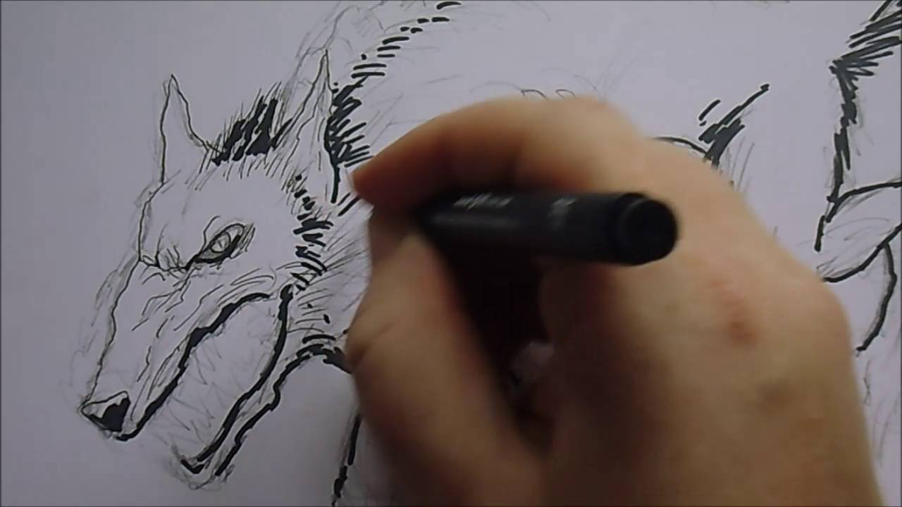 Drawing The Hellhound Inktober Day #6 - YouTube