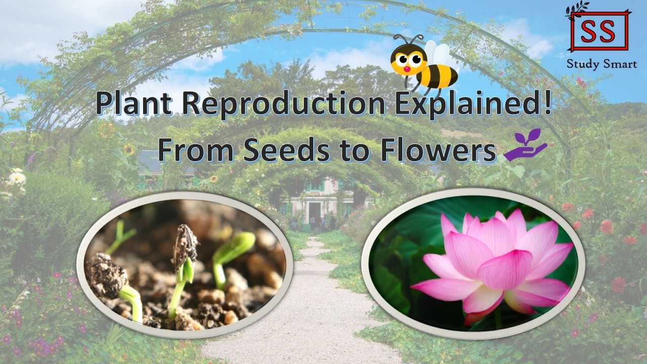 Science Form 1 Chapter 4.7 Plant Reproduction (Part 1) - YouTube