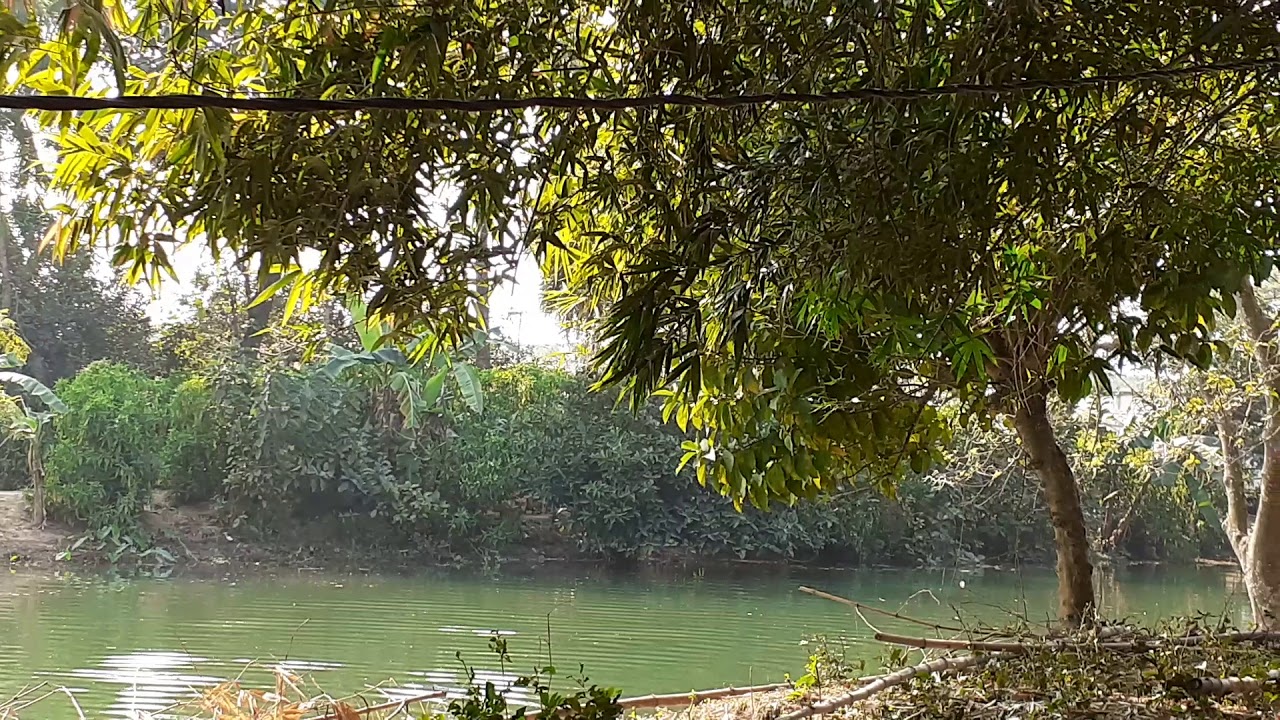 beauty of west Bengal - landscape - green life - YouTube