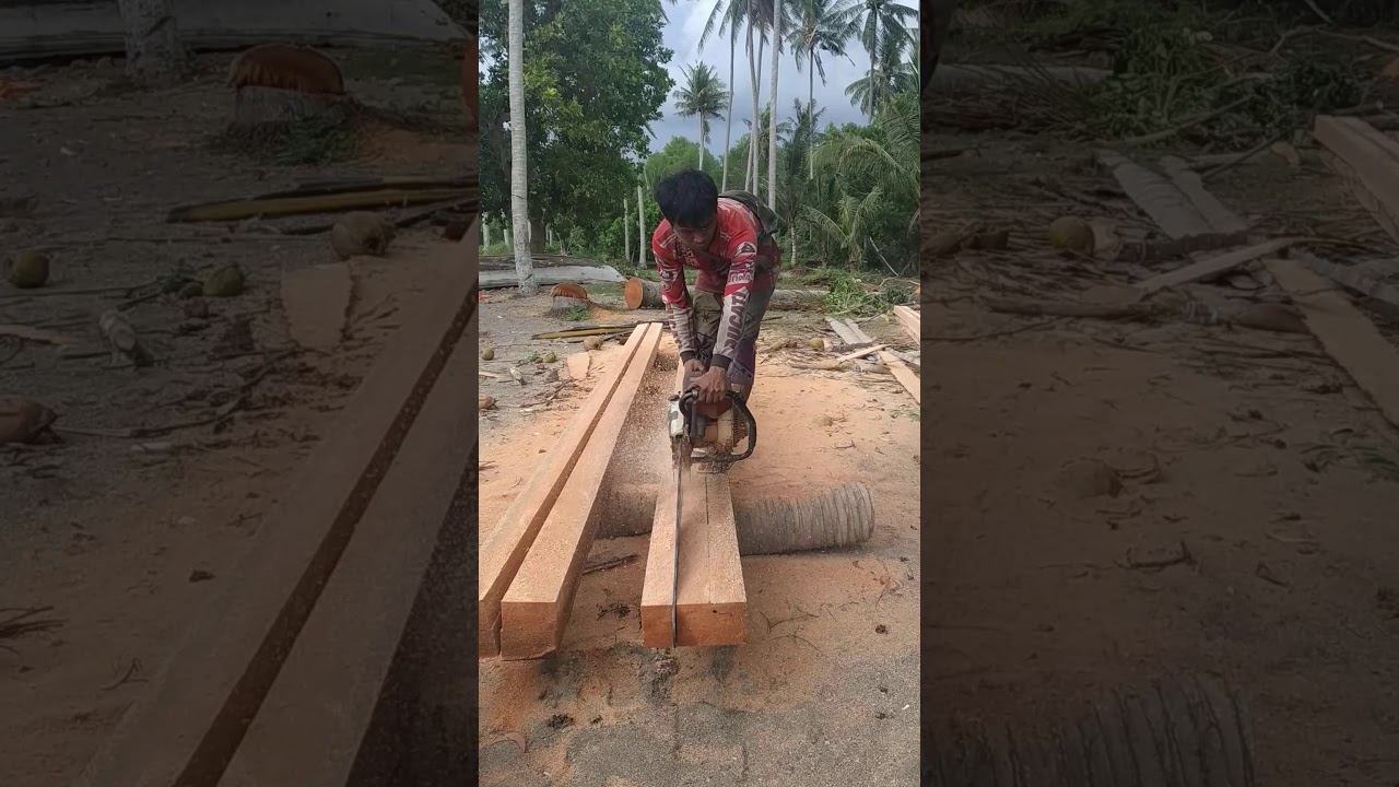 Chainsaw Cara membelah kayu yg bner - YouTube