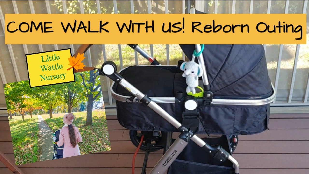 REBORN BABY OUTING in the Pram / Stroller PLUS see the Autumn colours ...