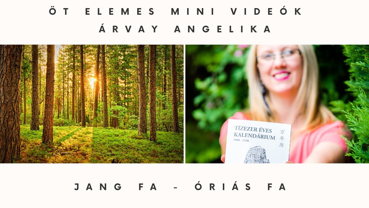 Jang fa (óriás fa)- 5 elemes mini videók - YouTube