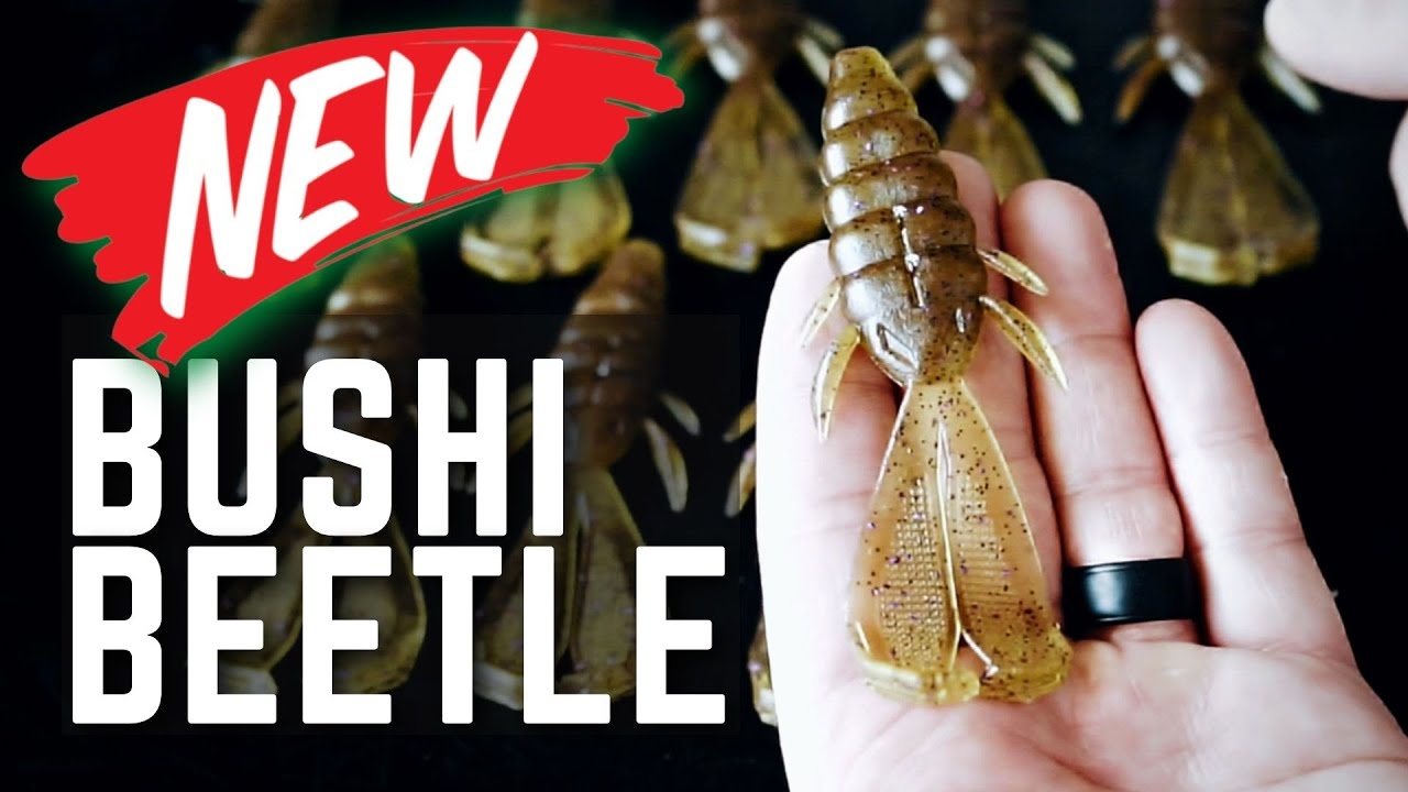 BRAND NEW Do-It Molds Bushi Beetle Essential Series 4 Cavity Mold - YouTube