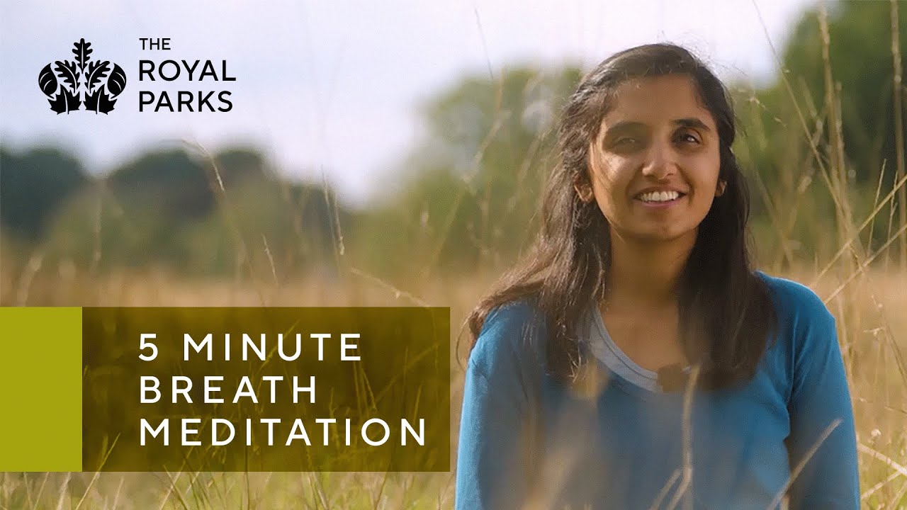 Breathe in Serenity: A 5-Minute Meditation for Inner Peace and ...