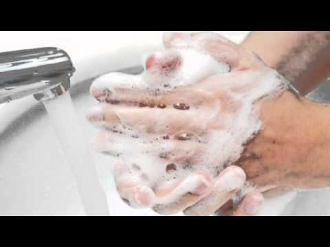 Trenton Kaiser & Jared Stoner Bacteria project - YouTube