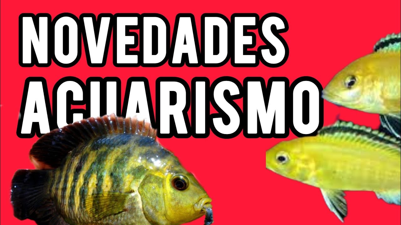 NOS VAMOOOOOS!!! GRACIAS TOTALES - YouTube