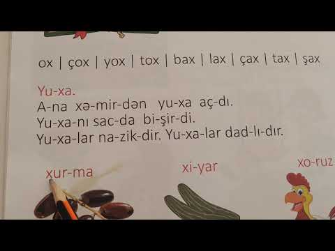 Xx  hərfi şeh 74
