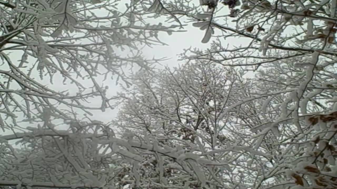 Rare Christmas Snow - Raleigh, NC (2010) - YouTube