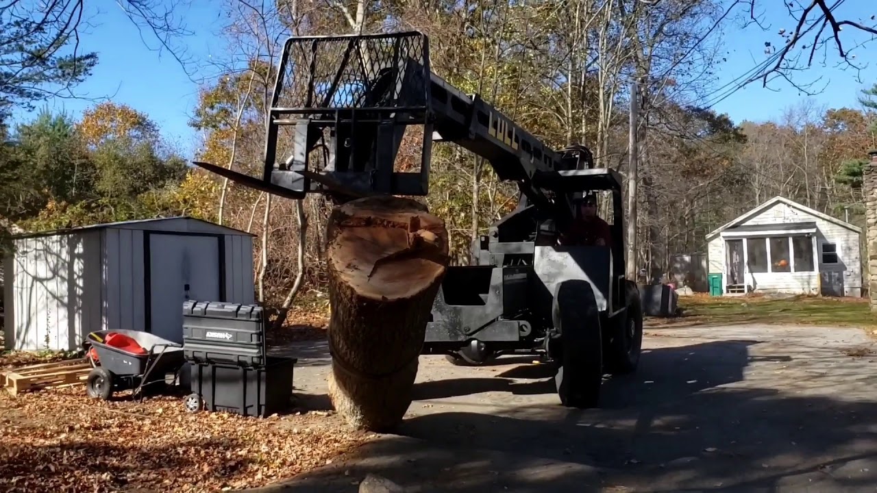 TREE REMOVAL WITH A LULL TELEHANDLER - YouTube