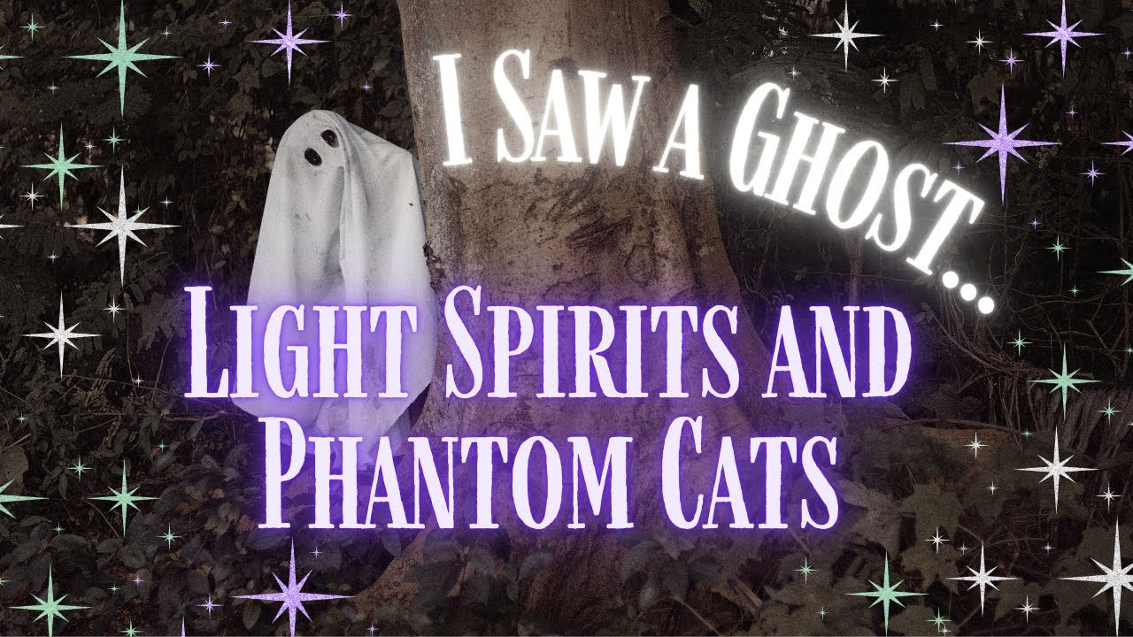 I Saw A Ghost - Phantom Cats, Digital Ghosts and Light Beings - YouTube