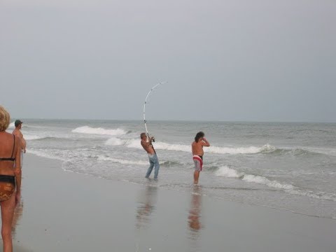 25 # Stingray Caught in Myrtle Beach While Surf Fishing - YouTube