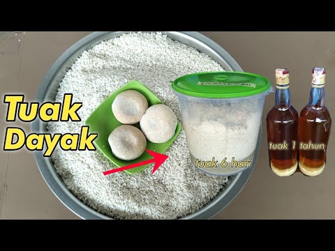 CARA MEMBUAT TUAK DAYAK || minuman tradisional orang Dayak Kalimantan ...