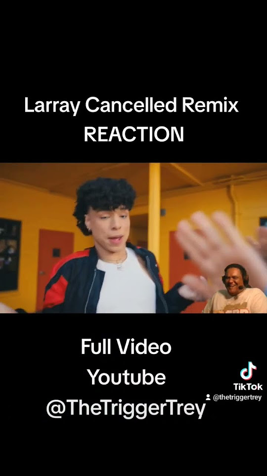 Larray Cancelled Remix REACTION Highlight - YouTube