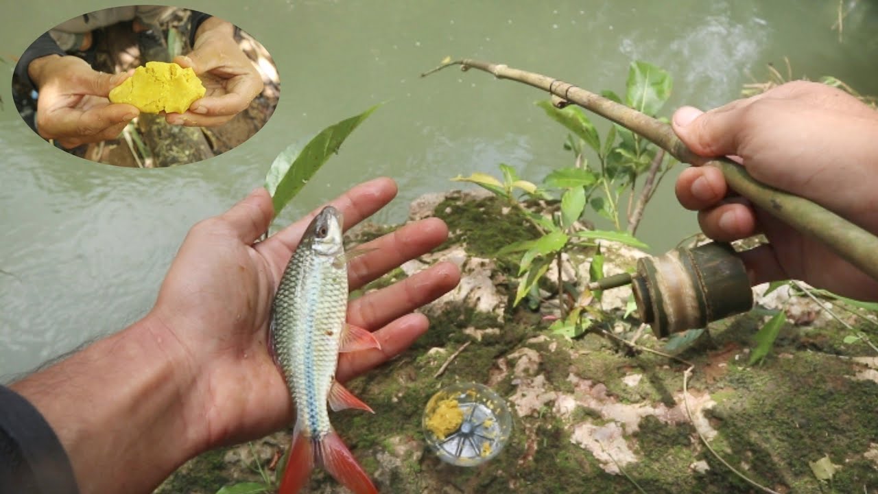 Membuat Pancing Dari Bambu Membuat Umpan Dan Mancing Di Sungai - YouTube