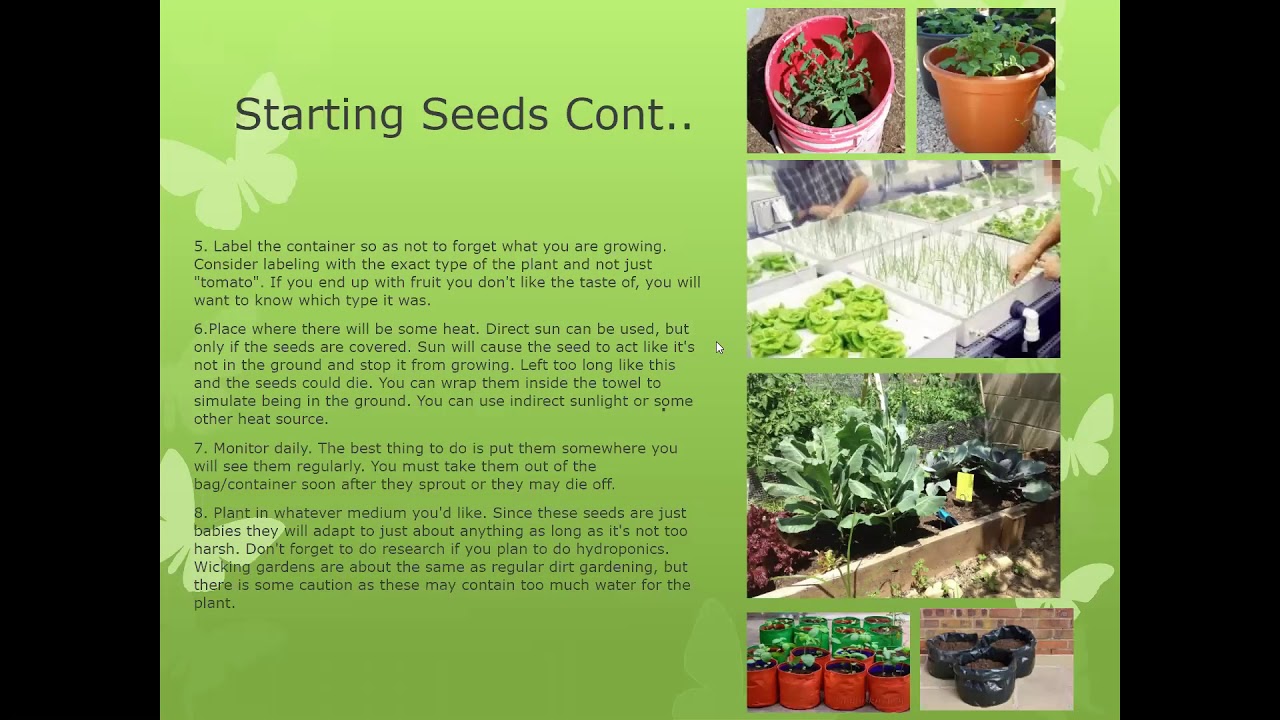 Hydroponics Lesson 4 - YouTube