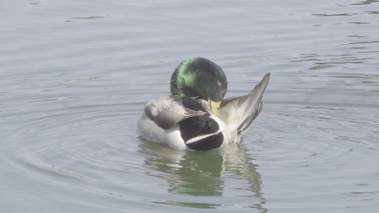 Slog-2 raw files - YouTube