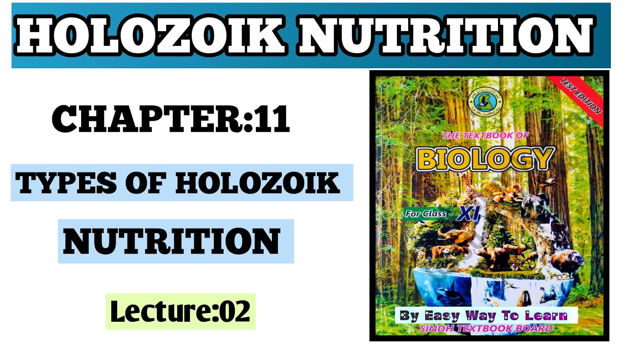 types of holozoic nutrition|types of nutrition class 11 biology - YouTube
