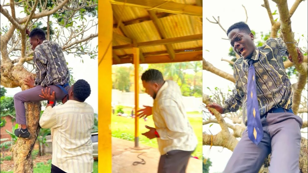 Bomboka ayiizze revenge - YouTube