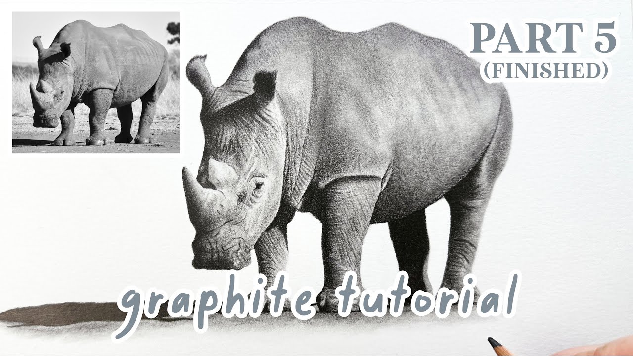 How to Draw a Rhino (Rhinoceros) in Graphite Pencils | Realistic ...