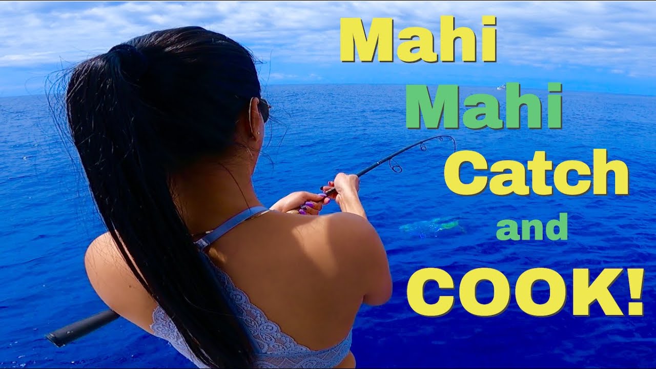 Mahi Mahi Catch & Cook!!! Delicious Dorado/Dolphin Fish - YouTube