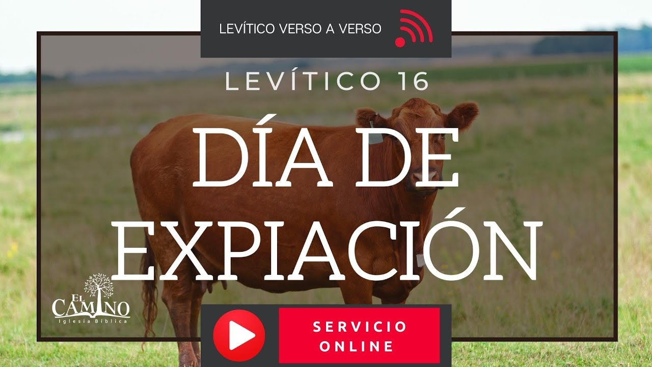 Levítico 16 [La Fiesta de EXPIACIÓN] 🐂 Yom Kipur el día del PERDÓN ...
