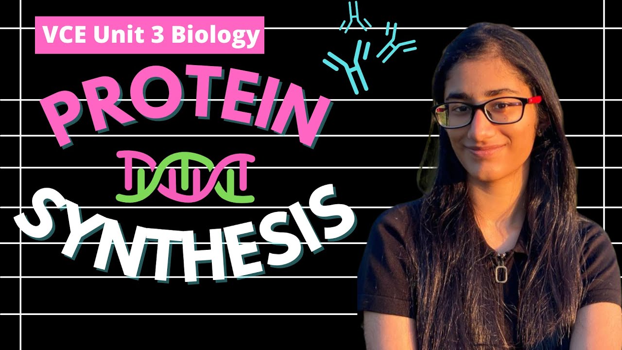 VCE Biology Unit 3 AOS 1: Protein Synthesis: 2022 NEW STUDY DESIGN ...