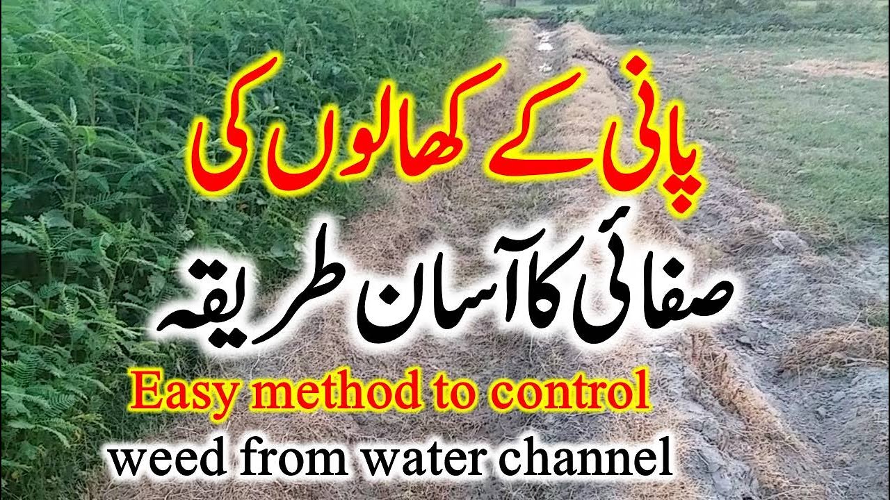 Easy method for clearing water channel | Weeds control from water ...