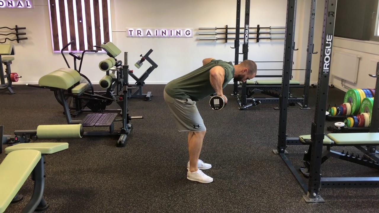 Bent Over Row, DB, pronated, elbow high - YouTube