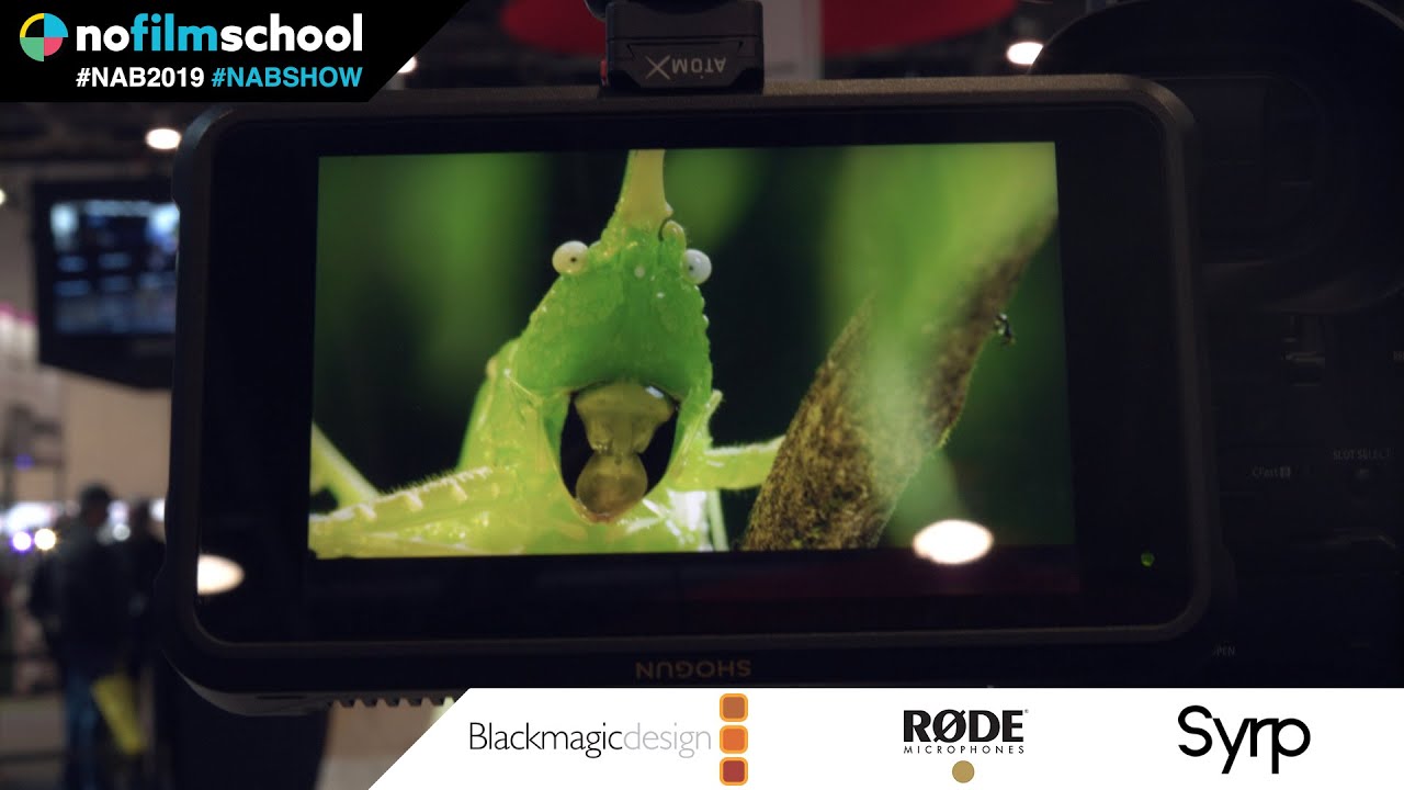 New Atomos Shogun 7 Production Monitor, Plus SDI Module for Ninja V ...