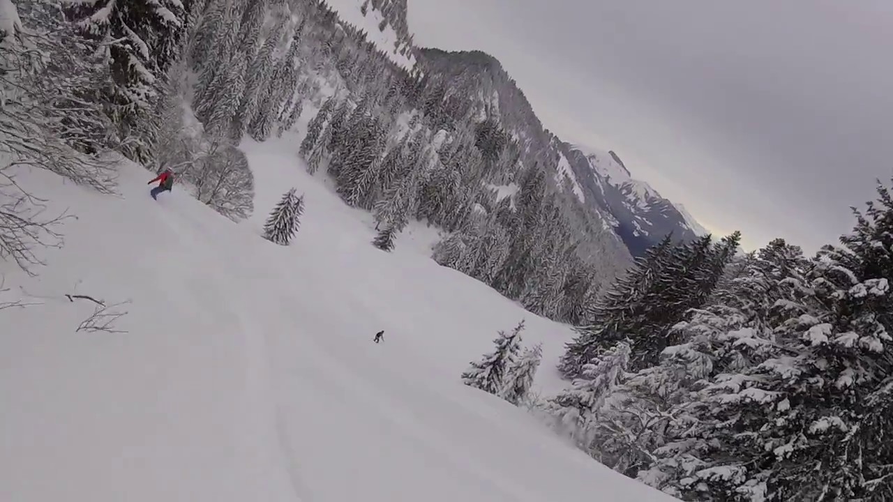 Heavenly Snowboarding Tree Run Somewhere in Portes du Soleil - YouTube