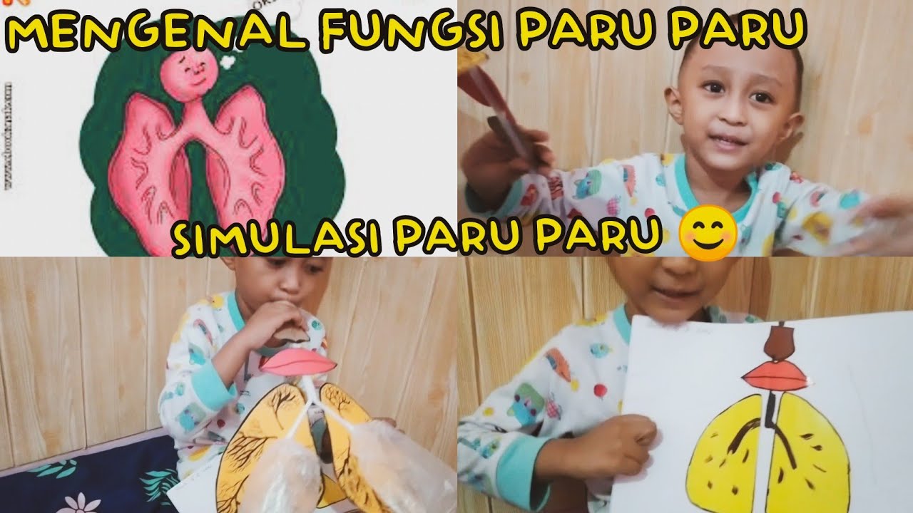 MENGENAL FUNGSI PARU PARU DAN SIMULASI PARU PARU | PAUD TK PLAYGROUP ...