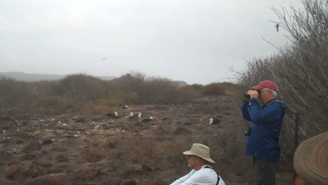 Albatross Landing, Espanola Island, Galapagos - YouTube