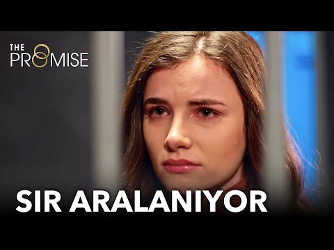 Emirin hapise girmesinde ki sır aralanıyor | Yemin 342. Bölüm