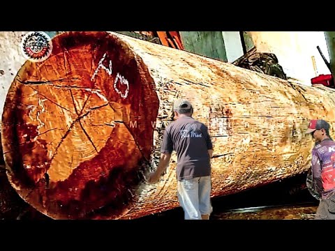 Sawing and cutting long pieces of wood for extraordinary house poles ...