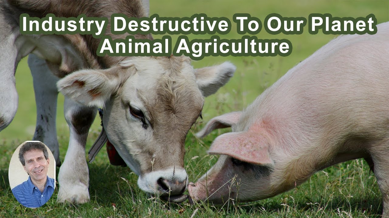 There Simply Is No Other Industry As Destructive To Our Planet As ...