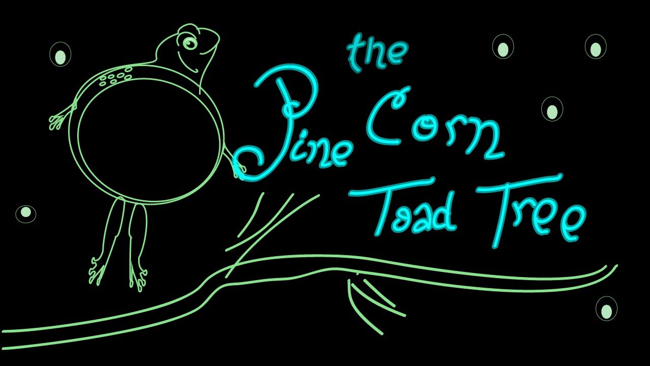 The Pine Corn Toad Tree | Calming Bedtime Story for Toddlers - YouTube