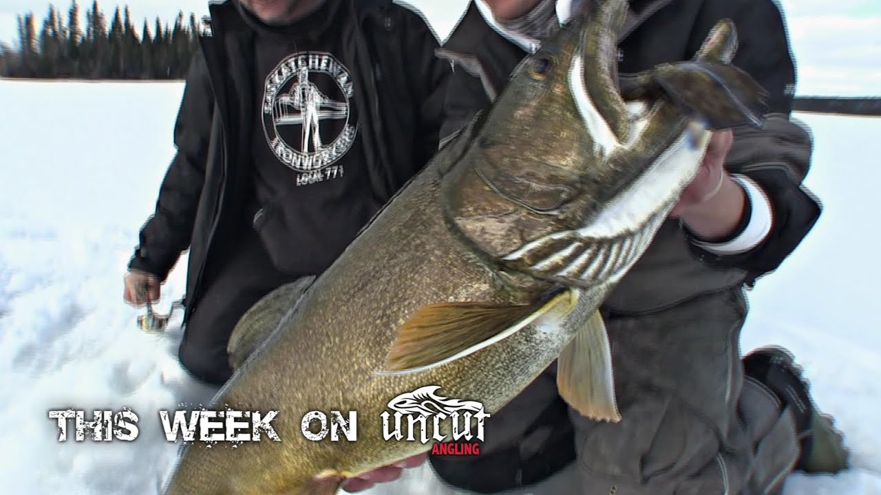 Trailer for "iFish for Big Fish" (TV Show 1) - Uncut Angling - Dec. 25 ...