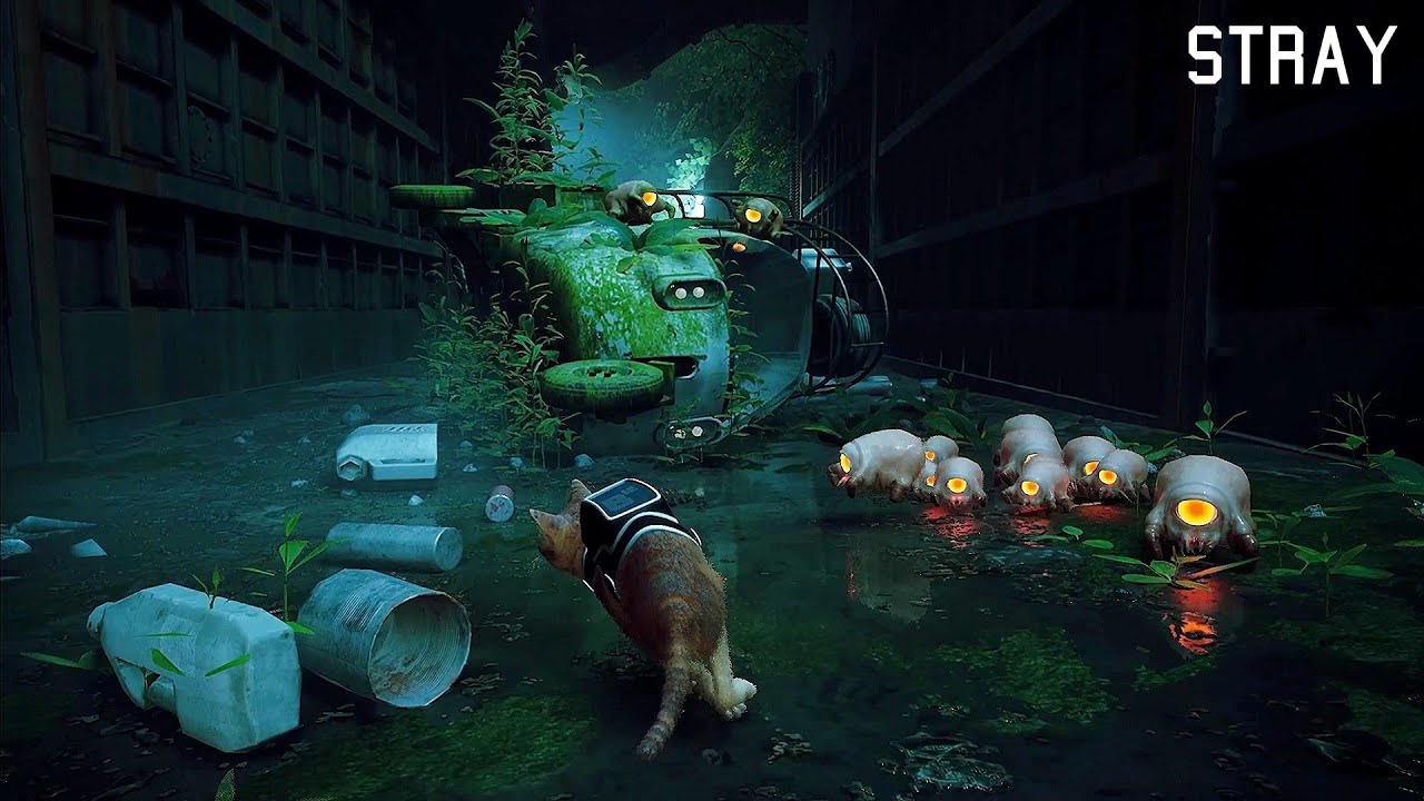 Stray Game - Chase Scenes - YouTube