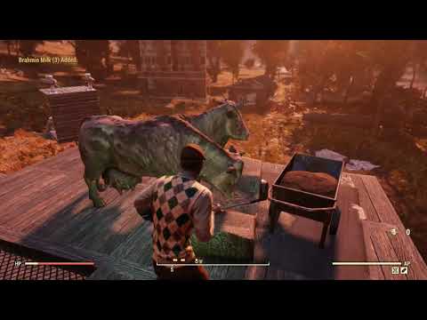 Korin's How-To-Build #3: Brahmin Toss (Fallout 76) - YouTube