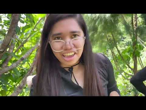 Mt. Balinsayaw, Ibajay Aklan - My Mother Mountain🍃