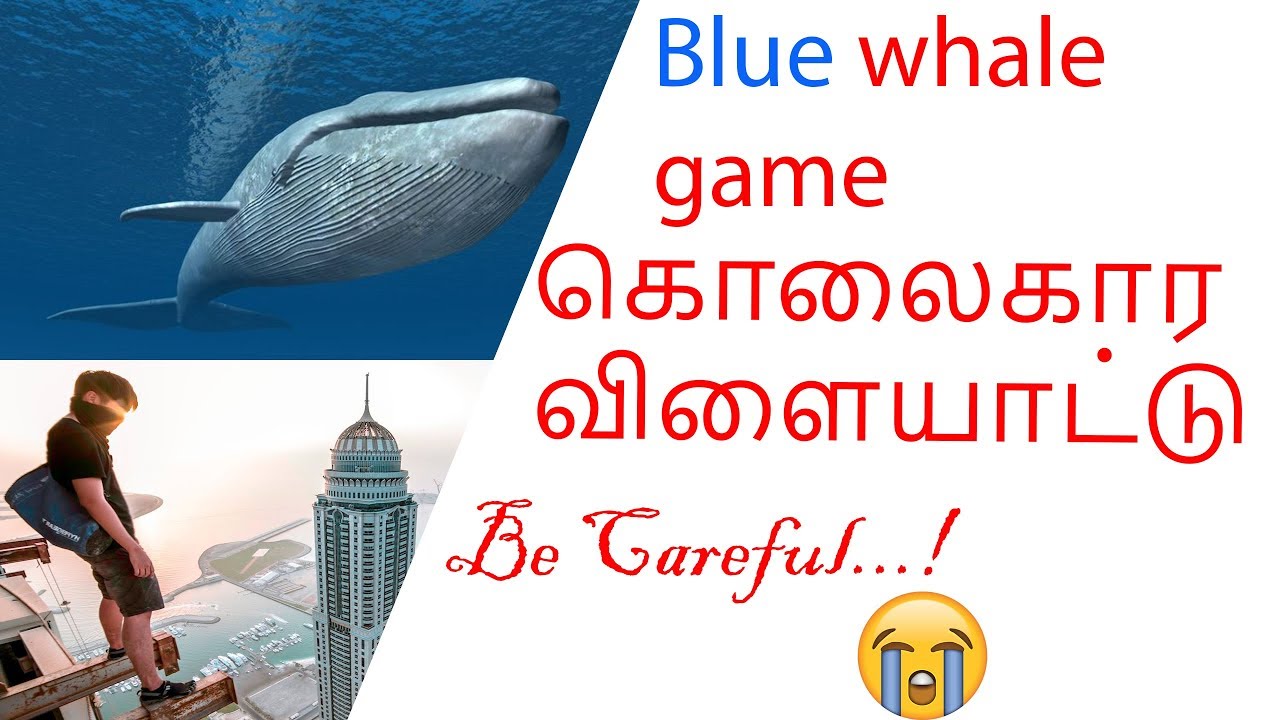 Blue whale game | கொலைகார விளையாட்டு | awarness video...Be careful ...