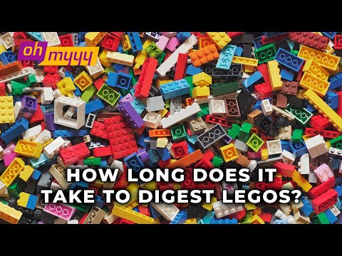 How Long Does It Take To Poop Legos? | George Takei’s Oh Myyy - YouTube