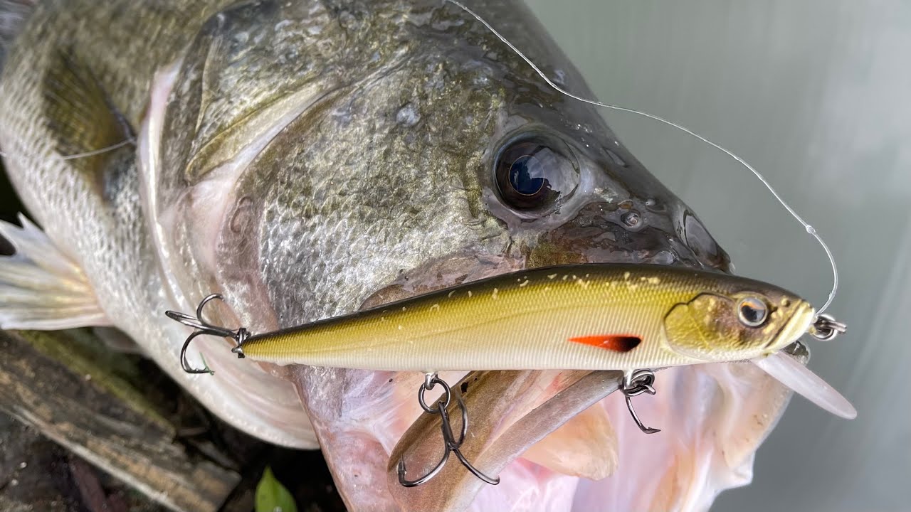 Catching a MONSTER BASS on the 13 FISHING LOCO SPECIAL - YouTube