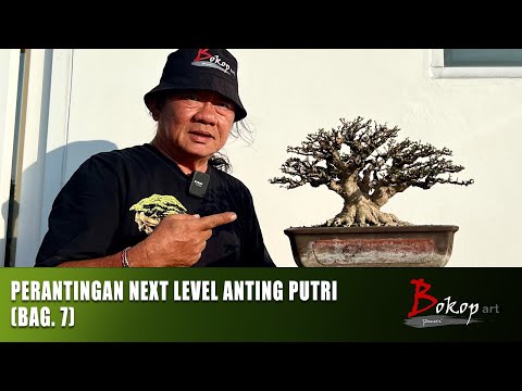 PERANTINGAN NEXT LEVEL ANTING PUTRI(Bag. 7)