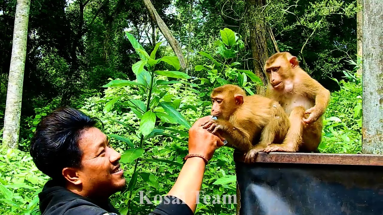 Mr Brayan is full but he wants more milk how Watna shared after Sheba ...