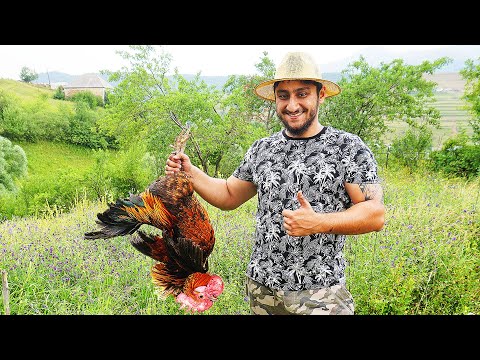 ROOSTER STEW WITH ONION AND BARBERRIES (NO TALK) | SOĞAN VƏ ZİRİNCLƏ XORUZ PÖRTLƏMƏSİ (DANIŞIQSIZ)
