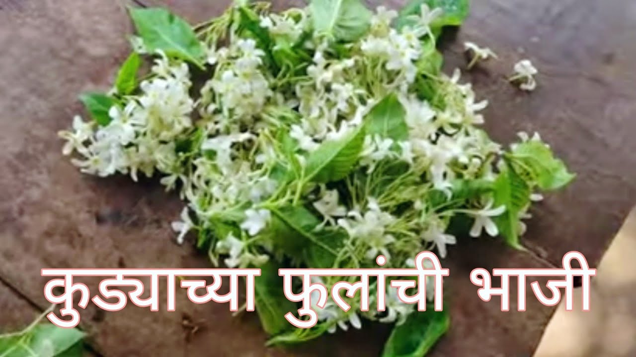 कुड्याच्या फुलांची भाजी | Kudyachya phulanchi bhaji - YouTube