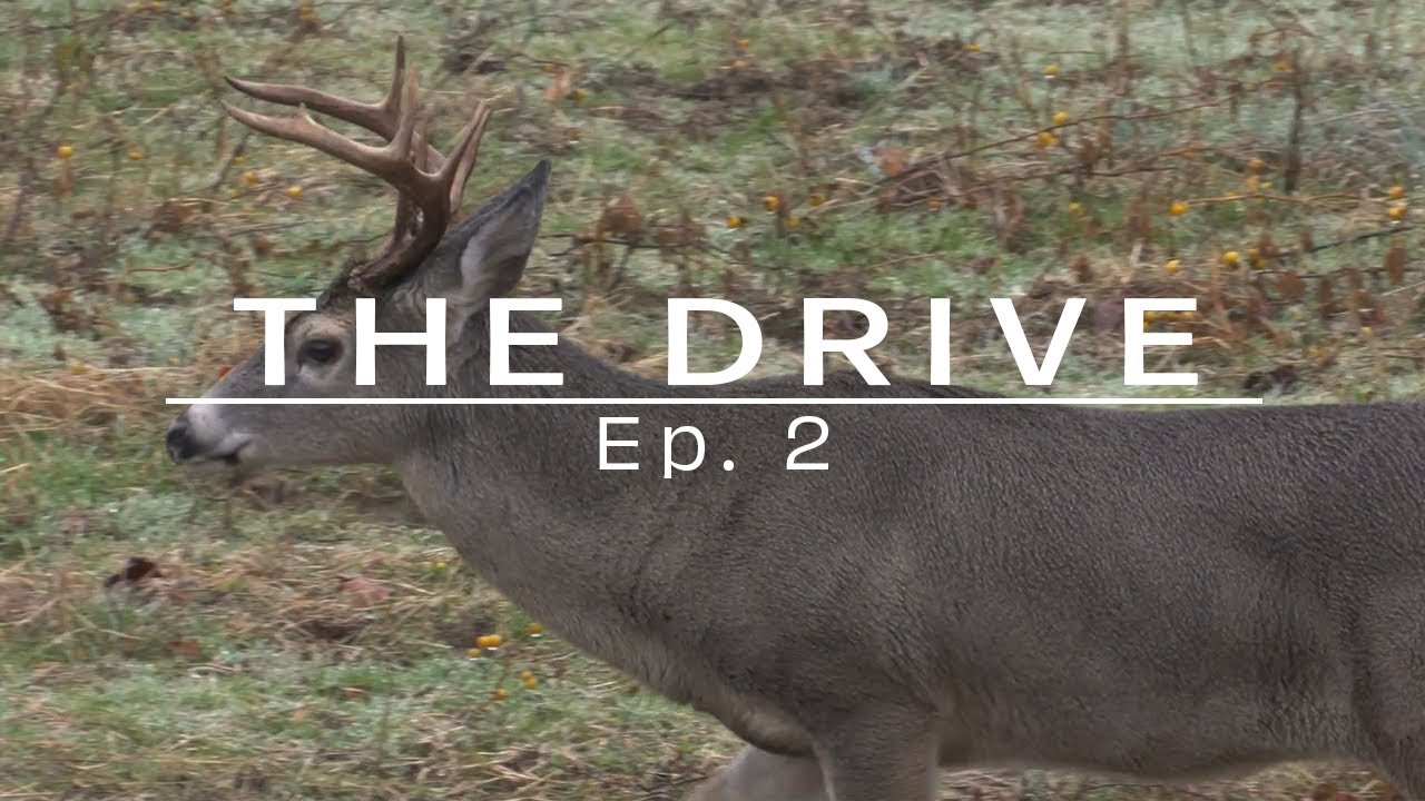 “The Drive” Ep. 2 - Hunting Alabama Rut - YouTube